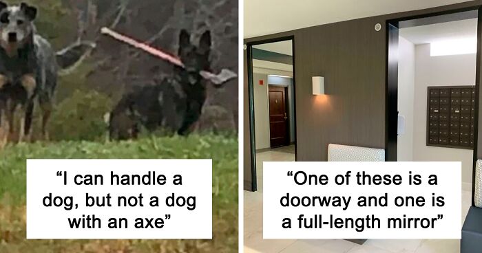 50 Wild And Unexpected Pictures From The Lives Of Delivery Drivers ...