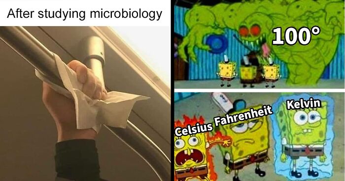 This Page Is Posting Science Memes And Here Are 50 Of The Best Ones