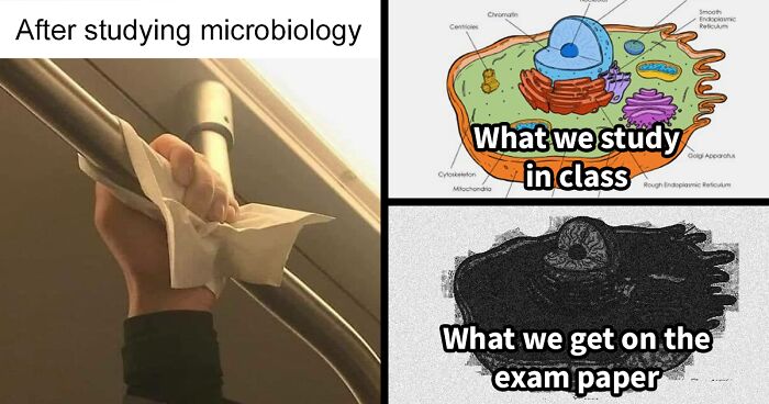 This Page Is Posting Science Memes And Here Are 50 Of The Best Ones