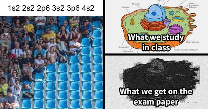 This Page Is Posting Science Memes And Here Are 50 Of The Best Ones