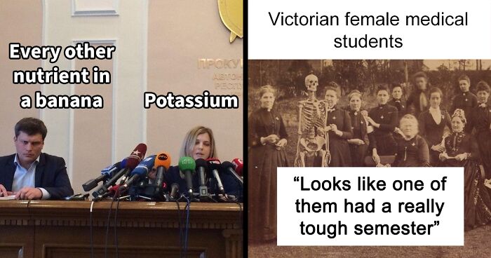 This Page Is Posting Science Memes And Here Are 50 Of The Best Ones