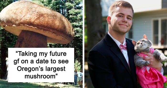 50 Wholesome Pics To Heal Your Soul That Are Heckin’ Awesome | Bored Panda