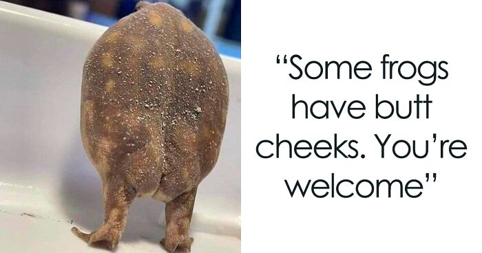 50 Wholesome Pics To Heal Your Soul That Are Heckin’ Awesome | Bored Panda