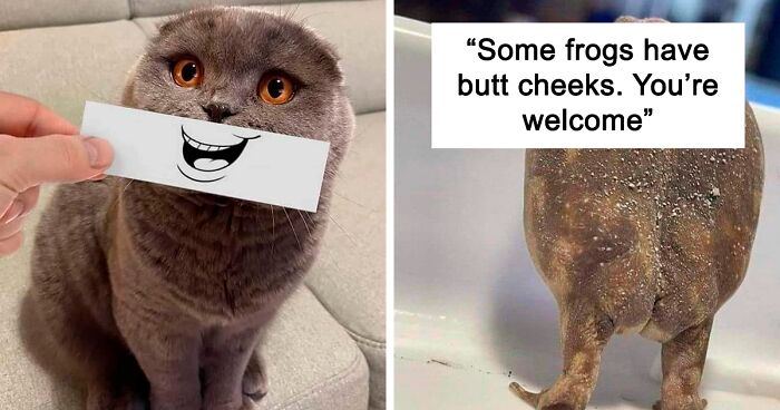 50 Wholesome Pics To Heal Your Soul That Are Heckin’ Awesome | Bored Panda