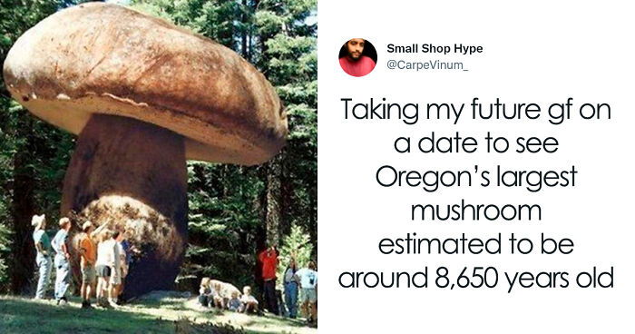 50 Wholesome Pics To Heal Your Soul That Are Heckin’ Awesome | Bored Panda