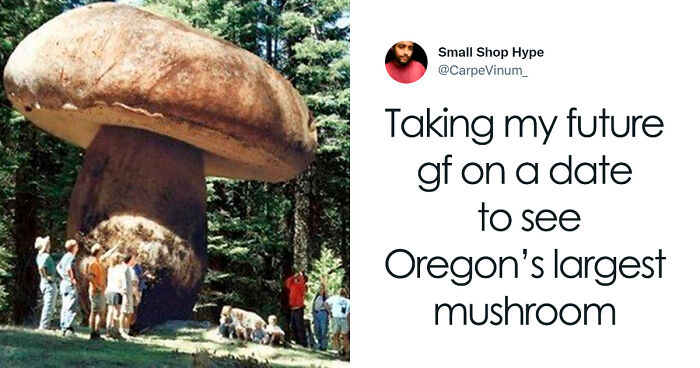 50 Wholesome Pics To Heal Your Soul That Are Heckin’ Awesome | Bored Panda