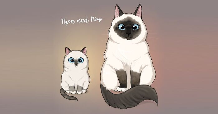 “What It’s Like To Have A Cat”: 40 Illustrations By This Artist (New Pics)