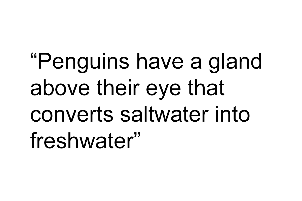 35 Interesting And Weird Animal Facts Not Too Many People Know