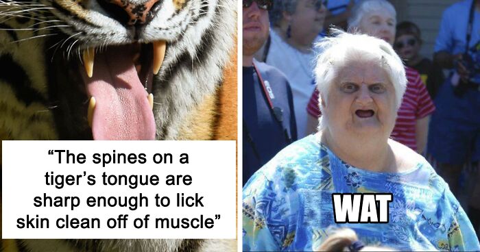 35 Interesting And Weird Animal Facts Not Too Many People Know