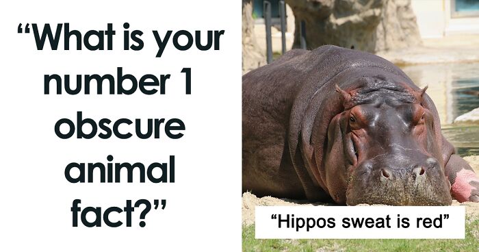 35 Interesting And Weird Animal Facts Not Too Many People Know