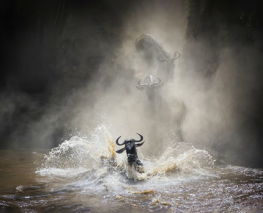 30 Captivating Photographs From This Year’s WildArt Photographer Of The ...