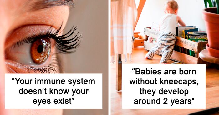 40 Cool But Pretty Disturbing Facts About The Human Body That Not Many ...
