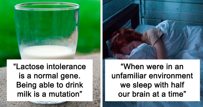 40 Cool But Pretty Disturbing Facts About The Human Body That Not Many ...