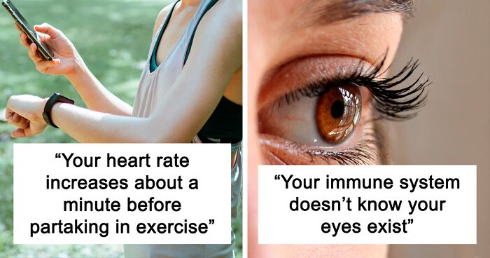 40 Cool But Pretty Disturbing Facts About The Human Body That Not Many ...