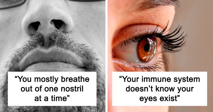 40 Cool But Pretty Disturbing Facts About The Human Body That Not Many ...