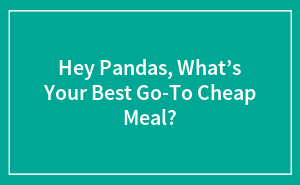 Bored Panda - The Only Magazine For Pandas