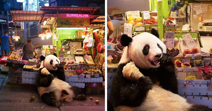 Artist Offers A New Perspective On Hong Kong Through His 60 Surreal ...