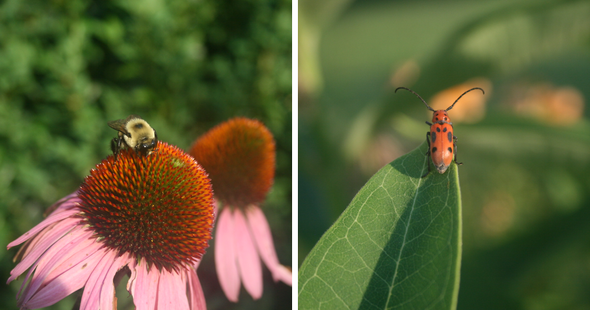 I Made A Mini Collection Of My Photos (13 Pics) | Bored Panda