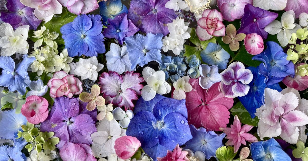 You’ll Find Me In The Garden (24 Pics) | Bored Panda