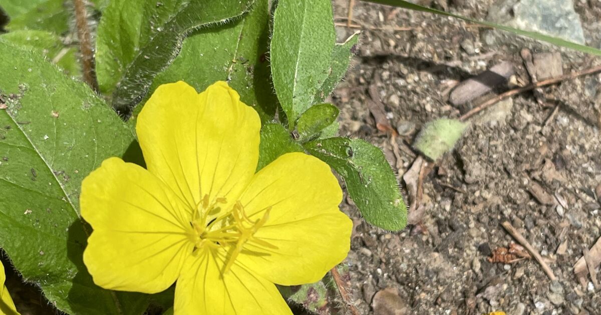 I Made A Small Collection Of My Nature Photography (18 Pics) | Bored Panda