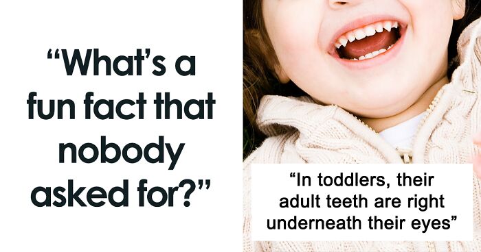 50 “Fun Facts That Nobody Asked For” | Bored Panda