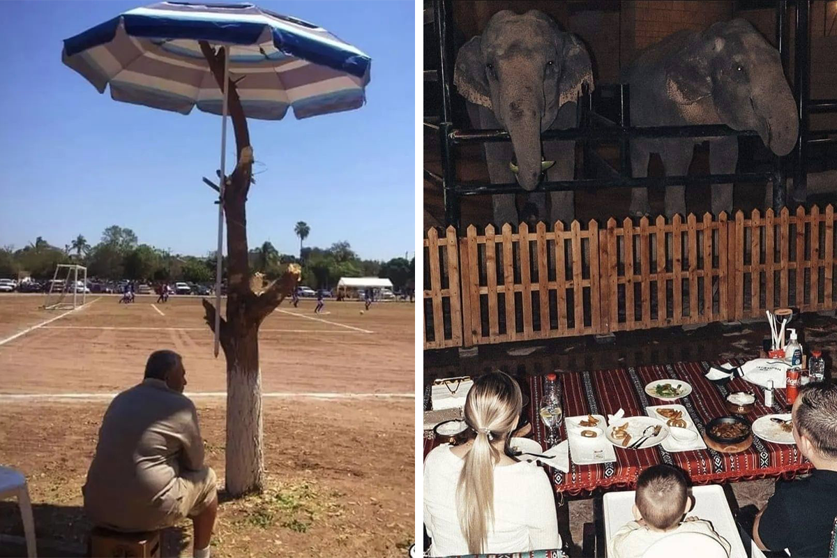 ‘Humans Of Capitalism’: 40 Pics That Look At Capitalism From A ...