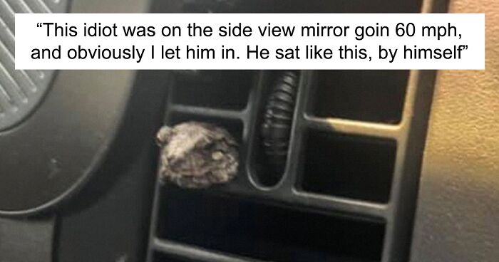 50 Times People Failed At Photographing Wildlife So Hilariously, They ...