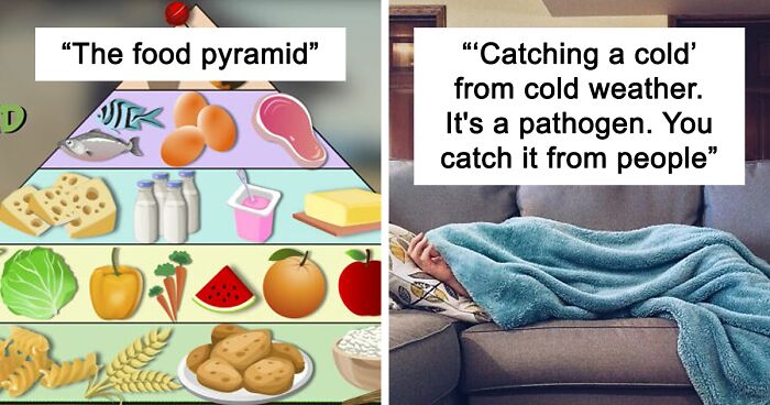 45 Myths And Misconceptions That Some People Mistakenly Believe Are ...