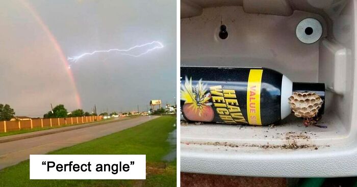 40 People Share Things That Happened That Are So Rare, They Seem Nearly ...