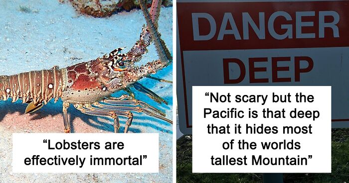 23 Fascinating, Weird Or Even Scary Facts About The Ocean People In ...