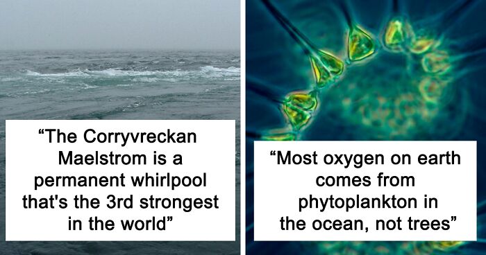 23 Fascinating, Weird Or Even Scary Facts About The Ocean People In ...