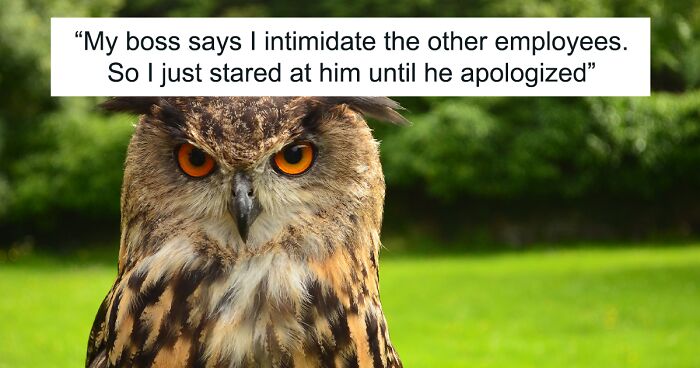 30 Of The Best Office Jokes To Read While You Are Hiding In The ...