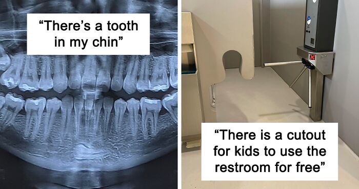 50 ‘Mildly Interesting’ Things You May Have Never Seen Before, As ...