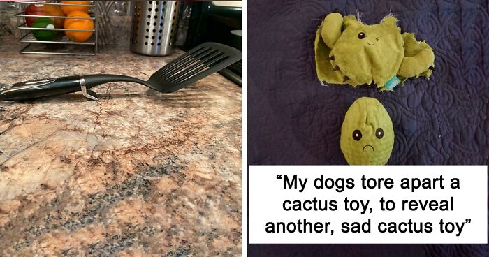 50 Genius Product Design Ideas That Genuinely Surprised People | Bored ...