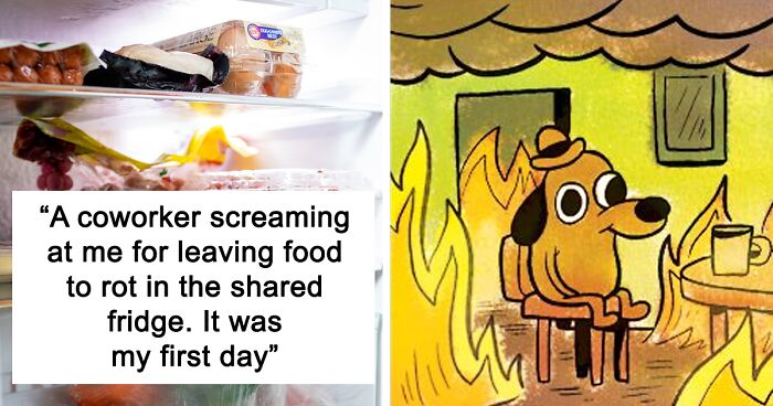 40 Ridiculous, Bizarre, And Dumb Stories From People Who Had To Deal ...