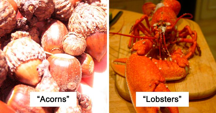 35 Weird Foods That We Now Know Are Edible, But It’s Surprising How Our ...