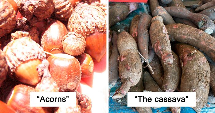 35 Weird Foods That We Now Know Are Edible, But It’s Surprising How Our ...