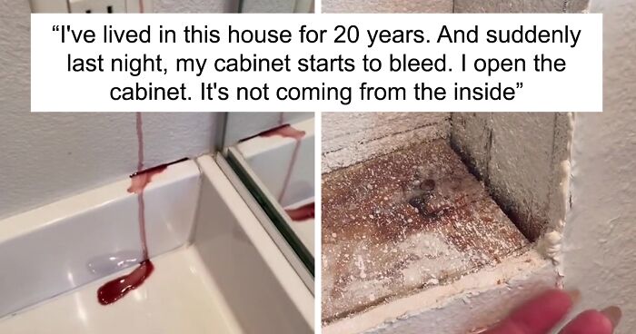Woman Records Her Efforts To Find Out What Is The Cause Of Her Bathroom ...