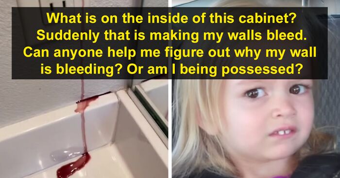 Woman Records Her Efforts To Find Out What Is The Cause Of Her Bathroom ...