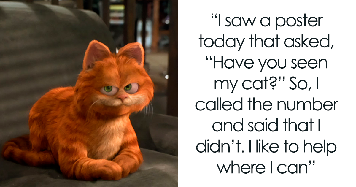129 Cat Jokes That ll Have You Clawing For More Bored Panda 129 Cat Jokes That ll Have You Clawing For More Bored Panda