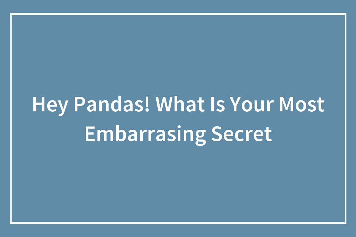 Hey Pandas! What Is Your Most Embarrasing Secret | Bored Panda
