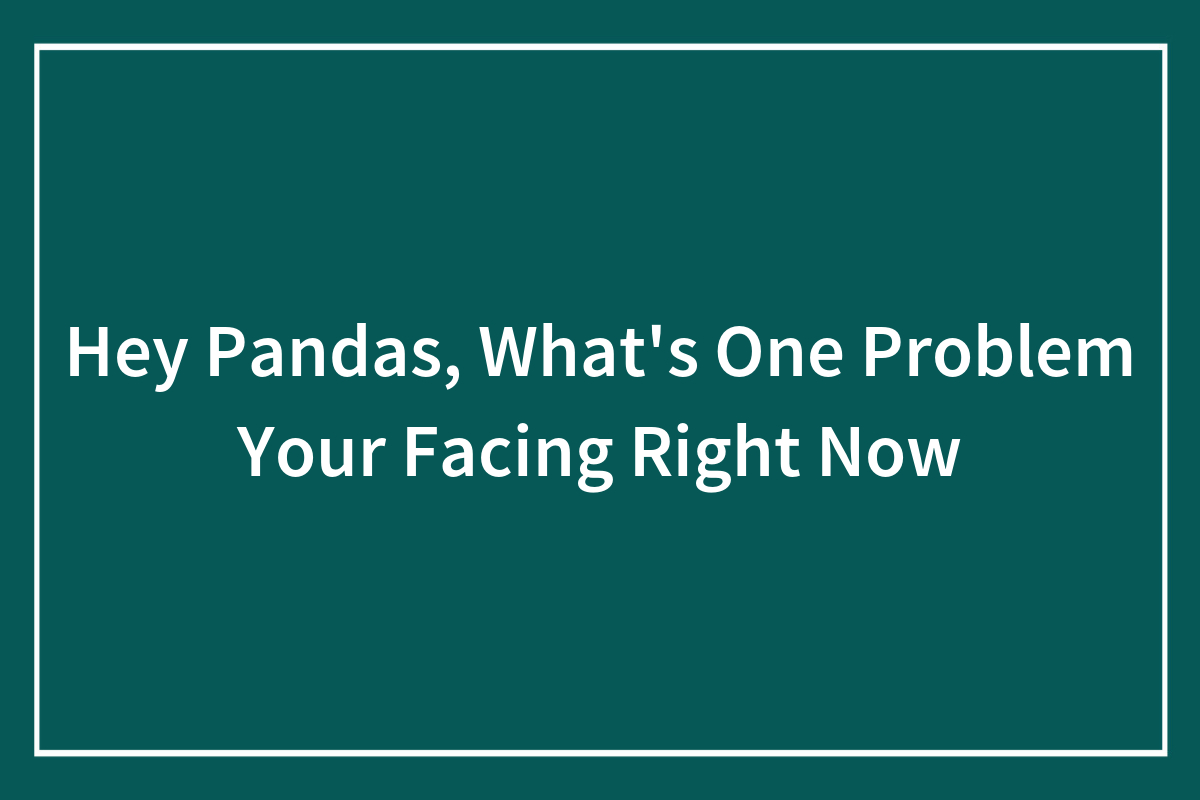 Hey Pandas, What’s One Problem Your Facing Right Now (Closed) | Bored Panda