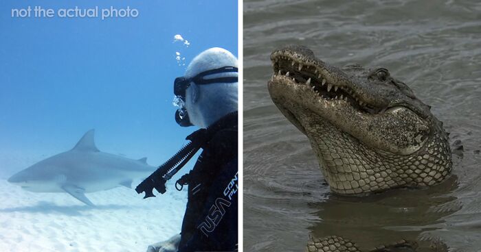 Divers Reveal 50 Disturbing Discoveries Underwater They Will Probably ...