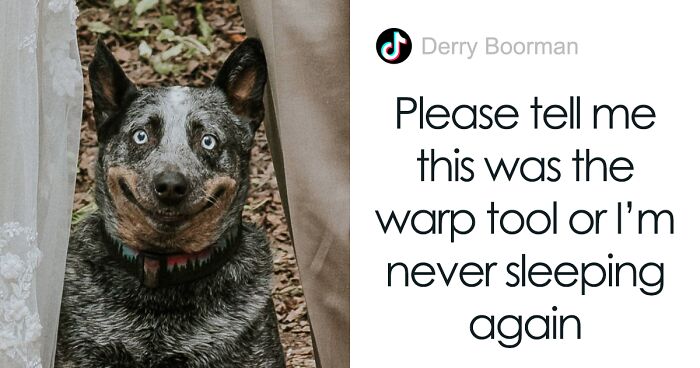 Dog Goes Viral For Photobombing Its Owners’ Wedding Picture, Others ...