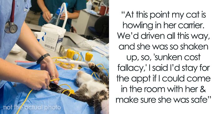 “AITA For Firing My Vet After The Way The Nurse Spoke To Me?” | Bored Panda