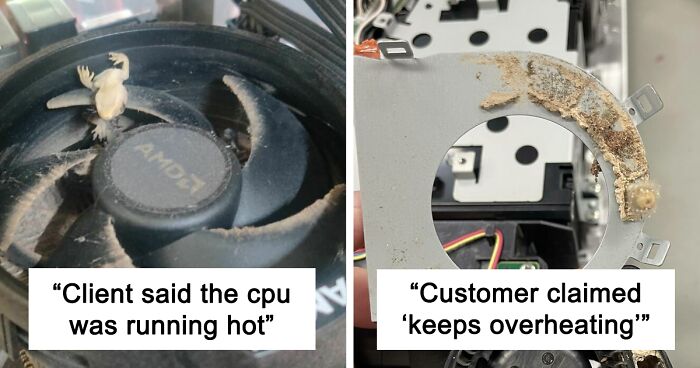 Tech Support People Are Sharing The Worst Horror Cases They’ve Seen ...