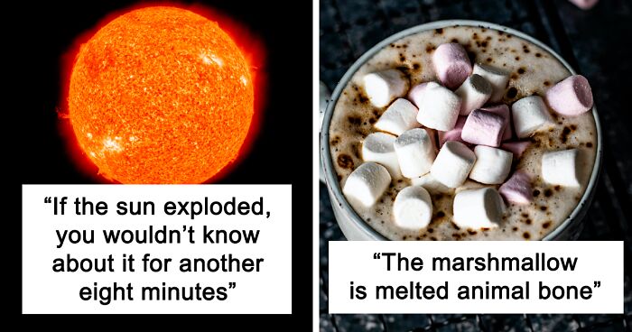 50 Of The Most Disturbing Facts About The World That Might Freak You ...