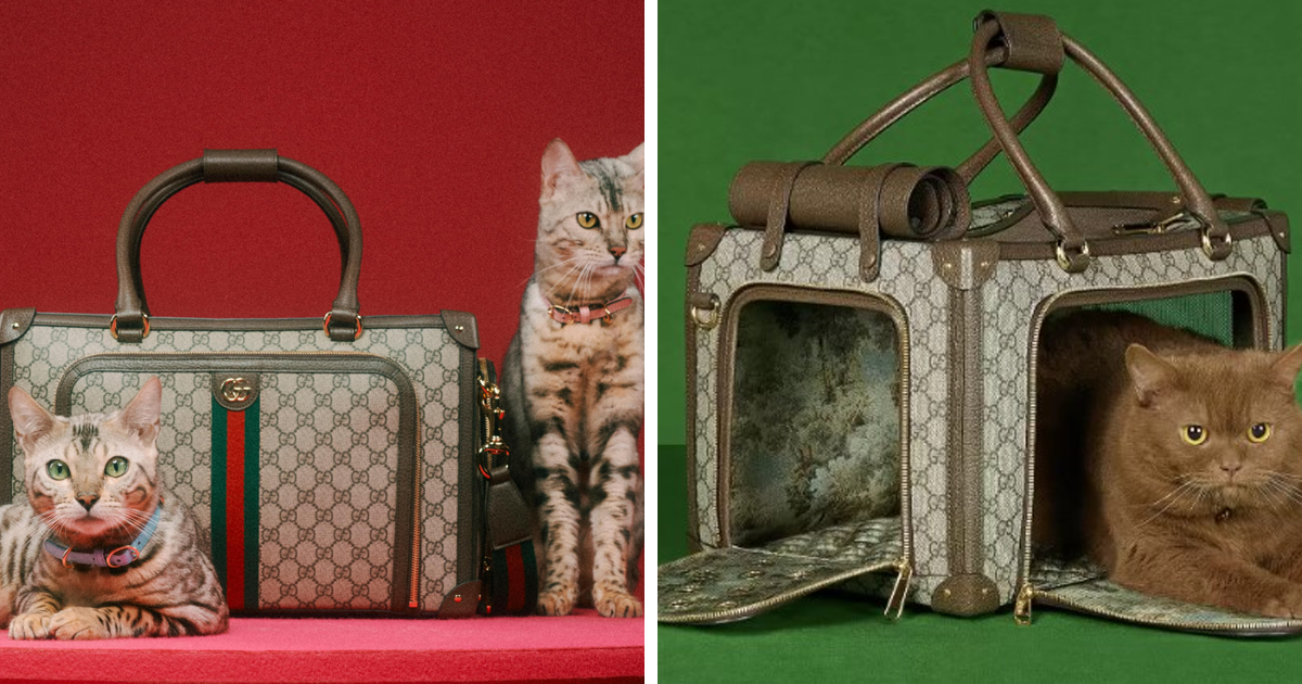 Gucci Released A Fancy Clothing And Accessories Line, And It’s Lavish ...