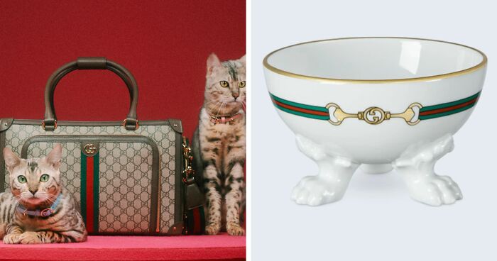 Gucci Released A Fancy Clothing And Accessories Line, And It’s Lavish ...