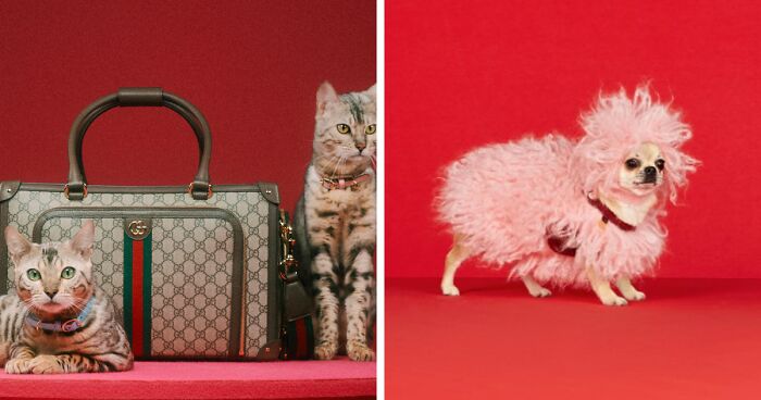 Gucci Released A Fancy Clothing And Accessories Line, And It’s Lavish ...